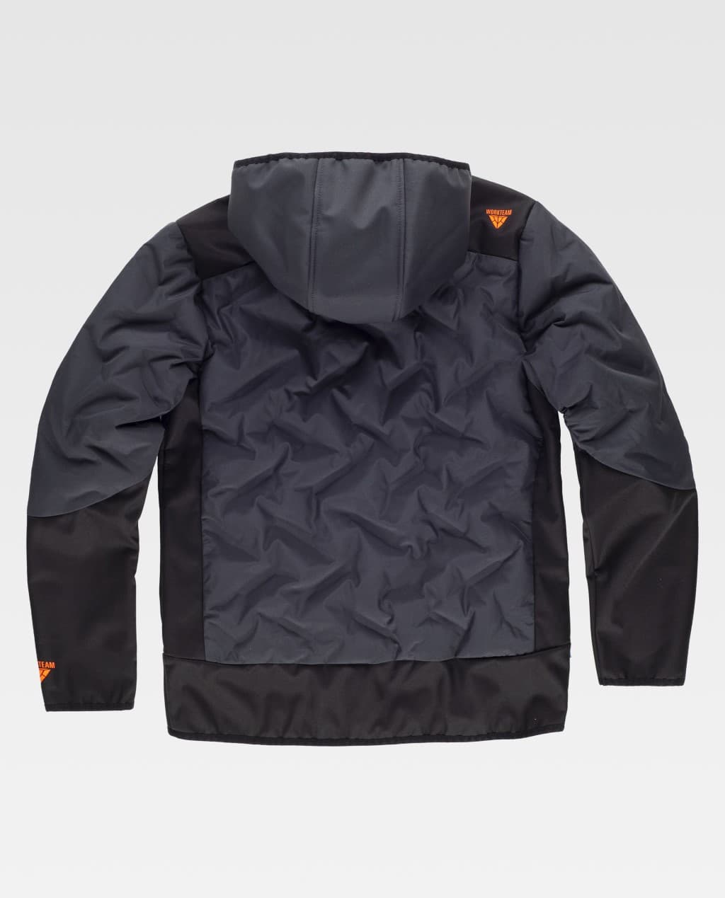 WORKTEAM, WF3020, WORKSHELL FUTURE